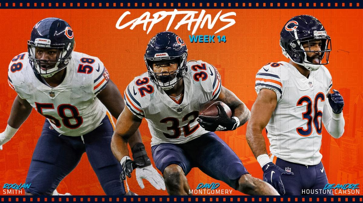 Who Owns the Chicago Bears?
