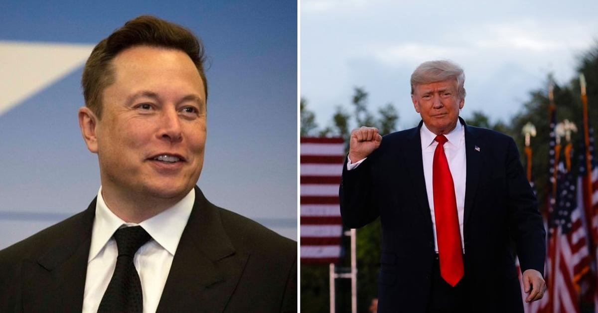 Is Elon Musk Friends With Former President Donald Trump? Not Exactly