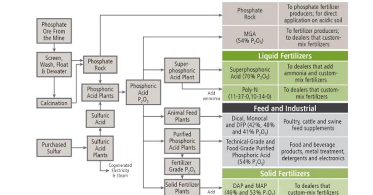 Phosphate Fertilizer Cost Drivers and Production Flow
