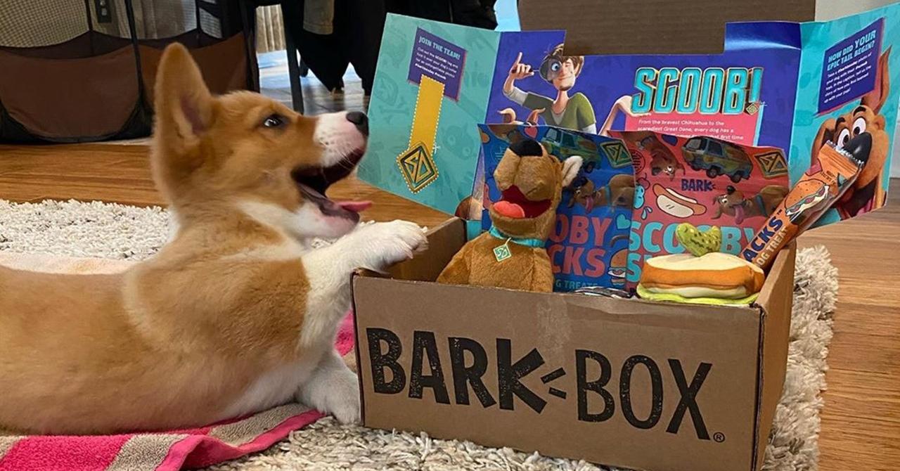 When Is BarkBox's SPAC IPO Date and What Can Investors Expect?