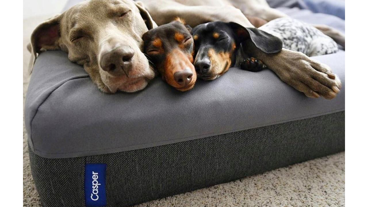 What Happens to Outstanding Casper Shares as Company Goes Private?