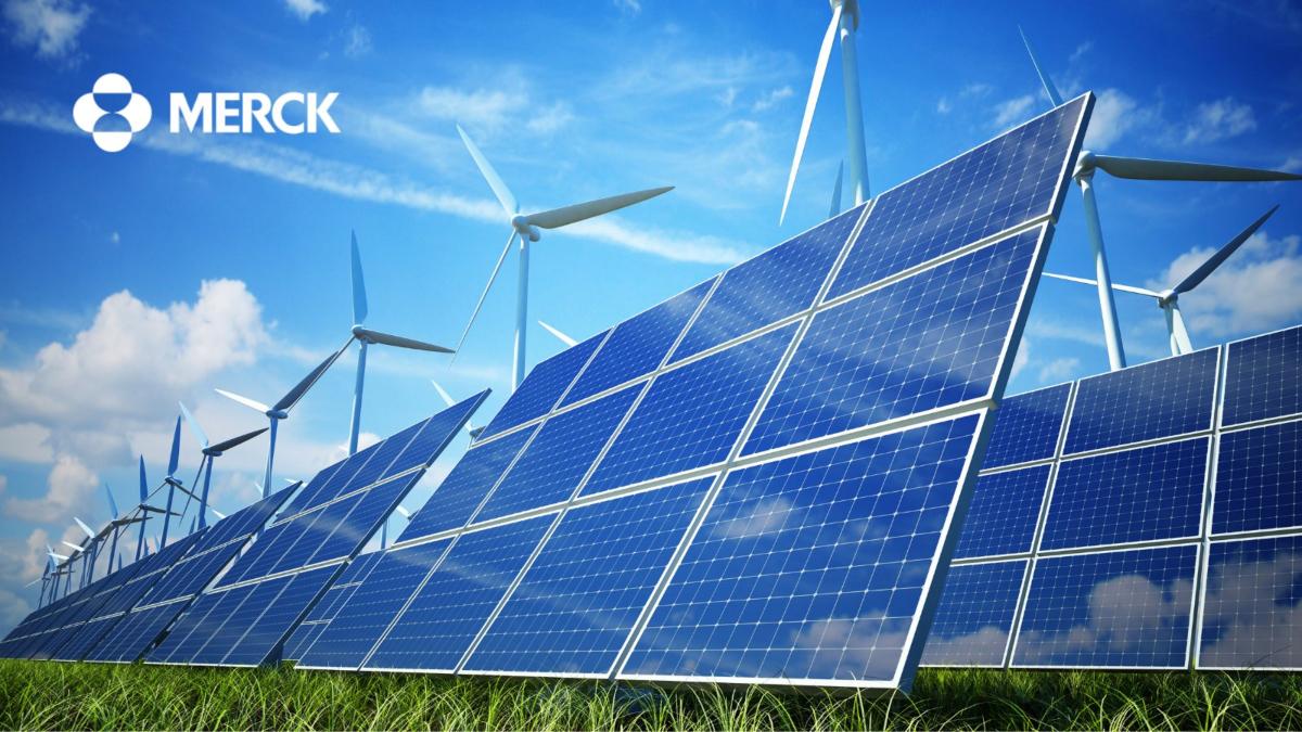 Why Is CytoDyn (CYDY) Stock Falling and Will It Go Up?