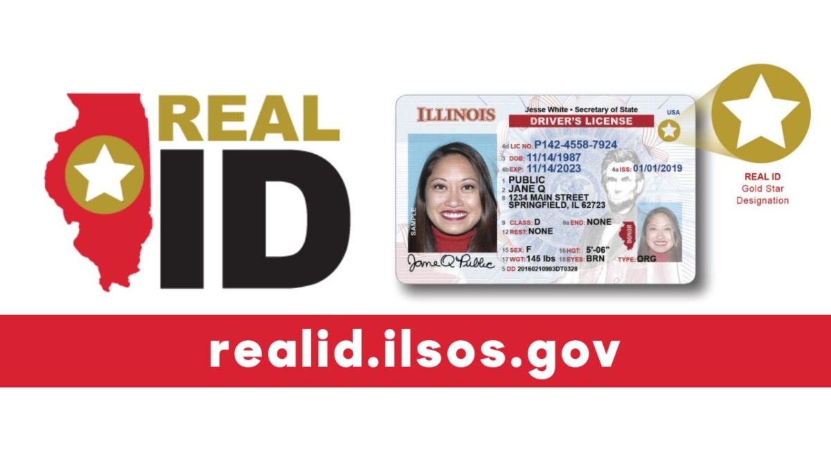 I Gave My ID to a Scammer — What Should I Do Next?