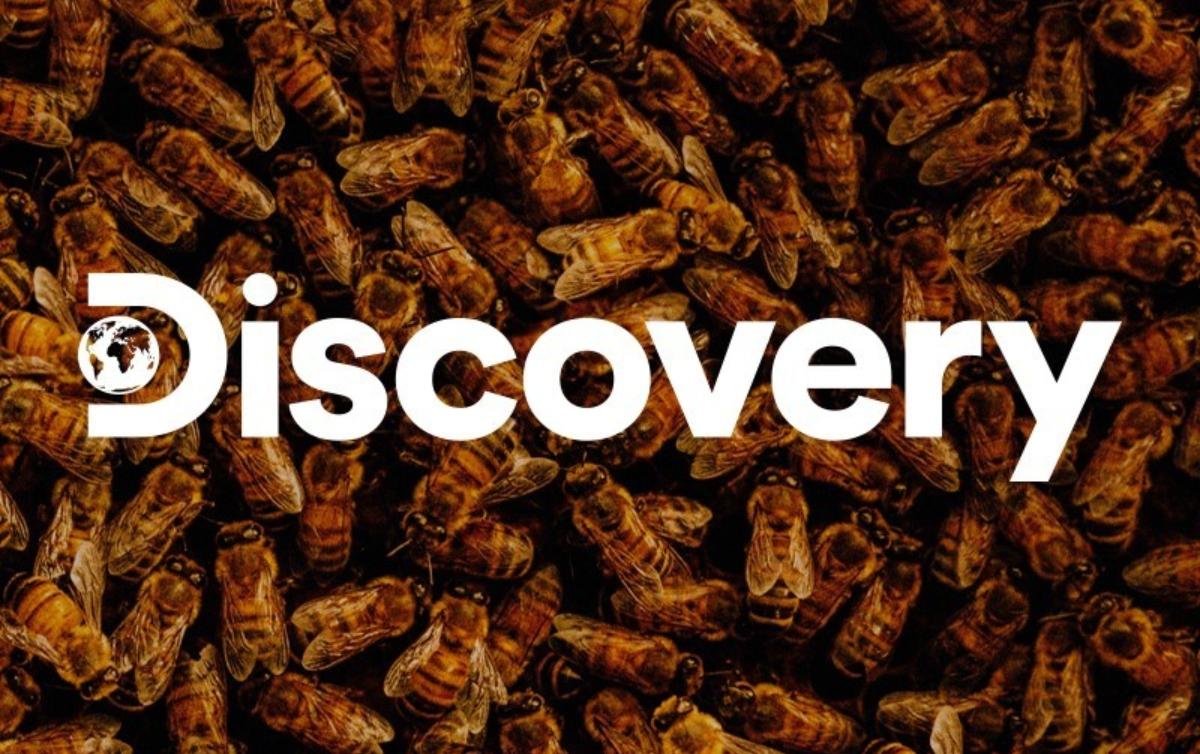 What's "Bee Czar" Walter Schumacher's Net Worth?