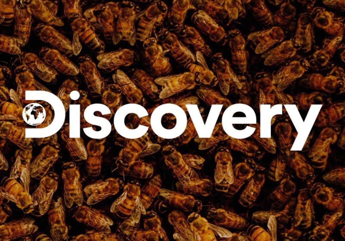 What's "Bee Czar" Walter Schumacher's Net Worth?