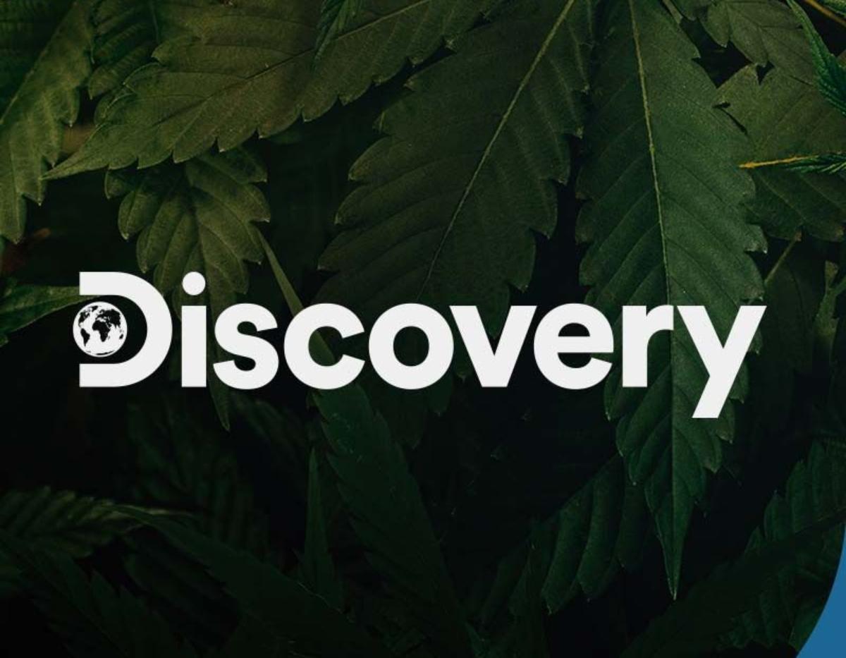 Who Owns CNN? Merger Details and the Network's Outlook Revealed