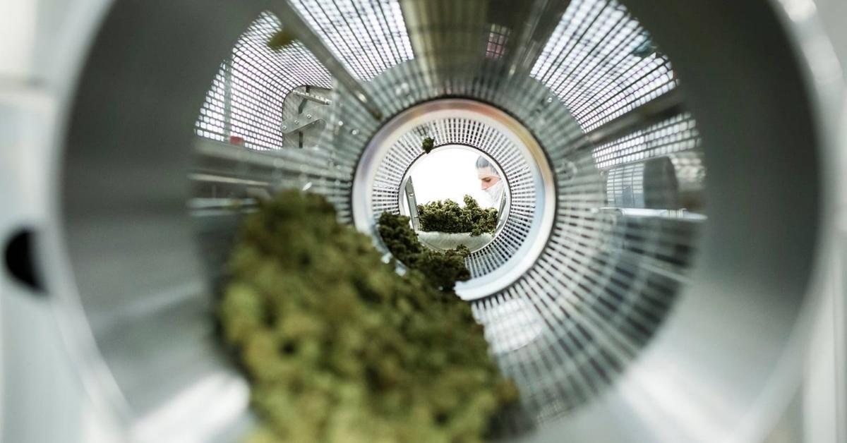 HEXO (HEXO) Stock Forecast: Will It Go Up More?