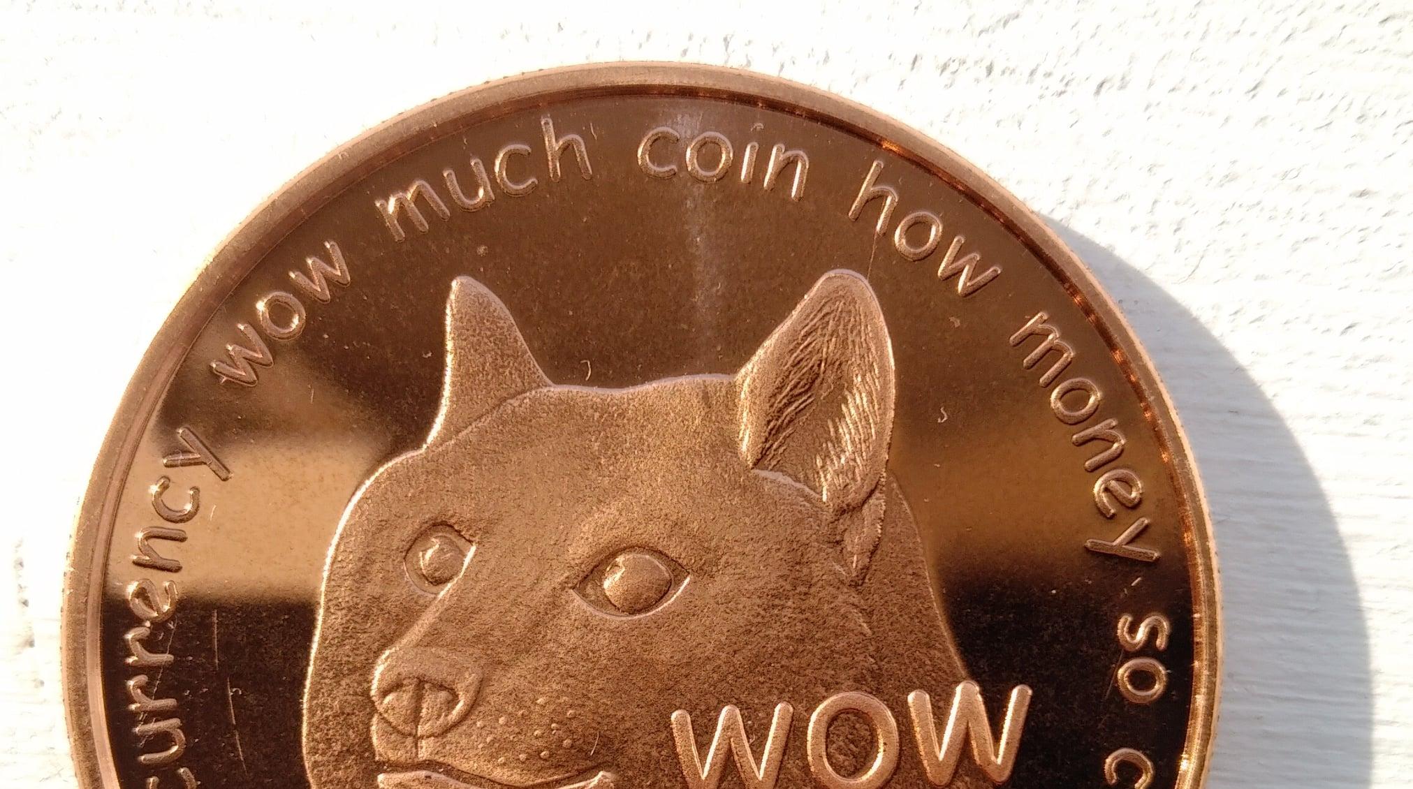 Will Dogecoin (DOGE) Go Back Up After the Recent Crash?