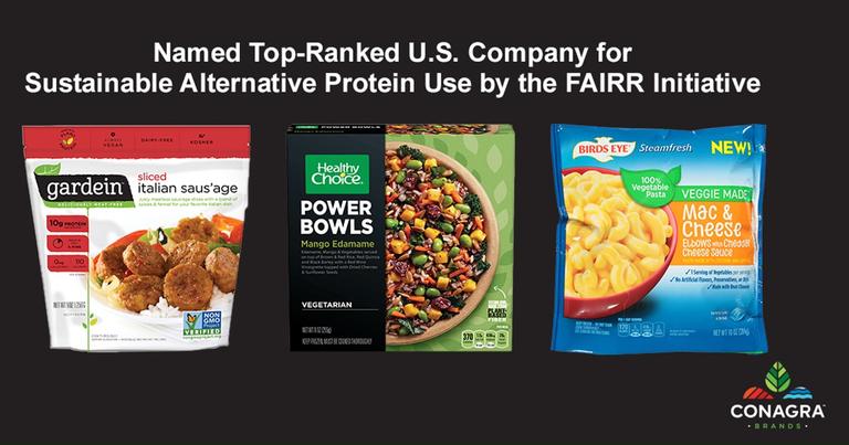 What Are the Top Conagra Brands in Its Vast Portfolio?