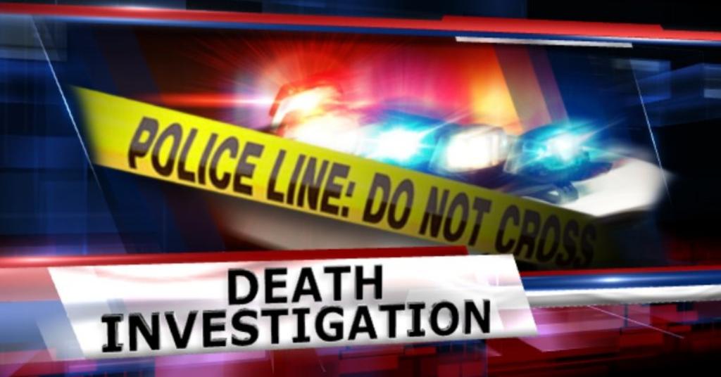 How Much Does a Coroner Make? Salary and Job, Explained
