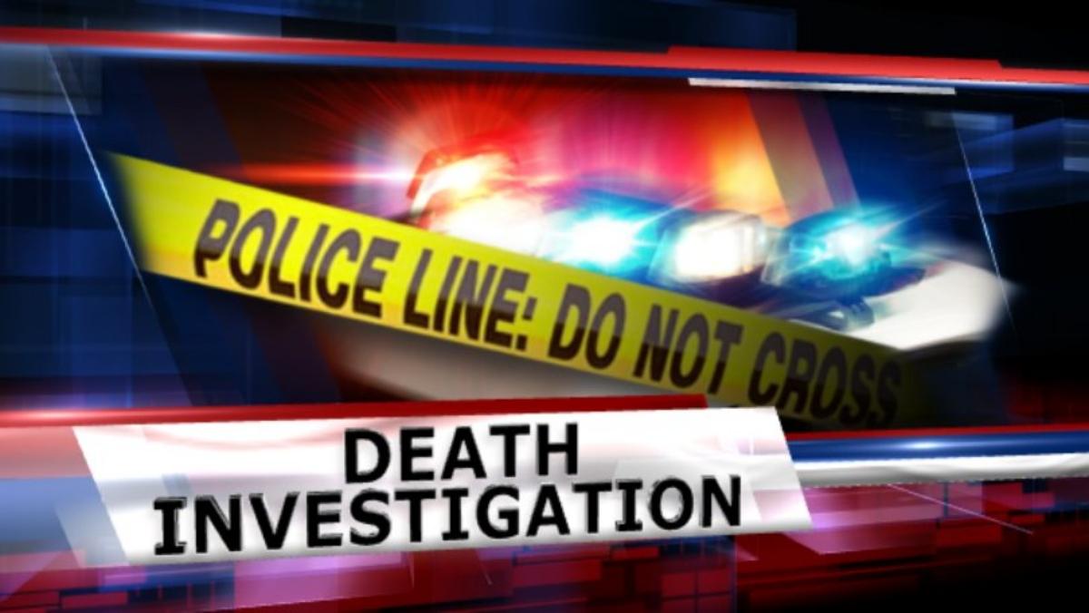 How Much Does a Coroner Make? Salary and Job, Explained