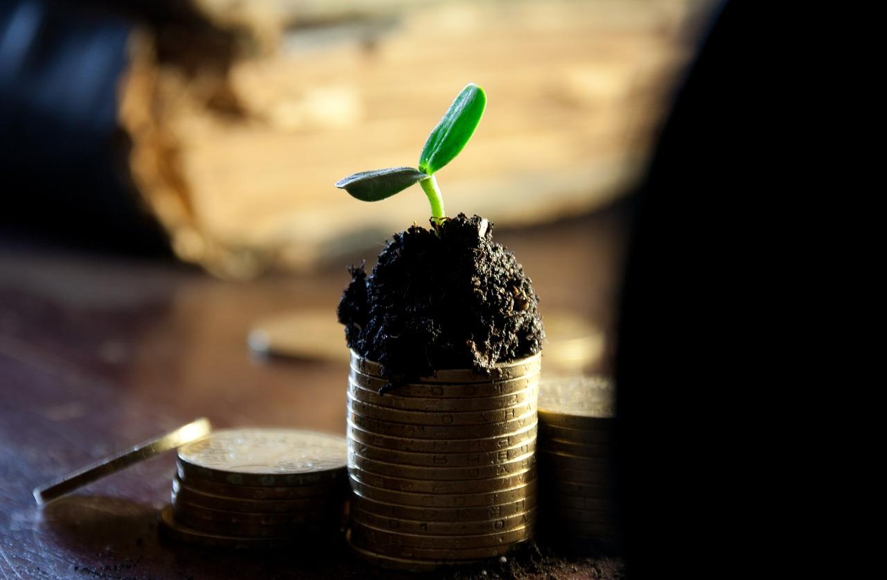 How are Dividends Reinvested?