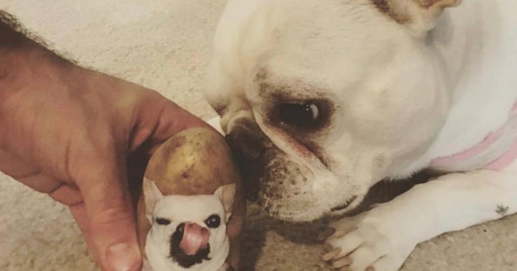 Potato Parcel Update: 'Shark Tank' Alum Success Story