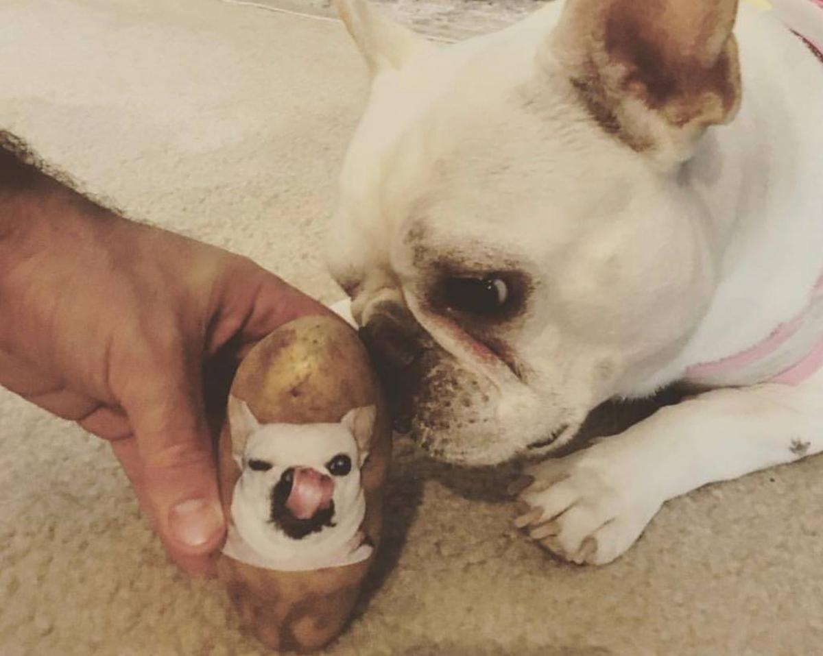 Potato Parcel Update: 'Shark Tank' Alum Success Story