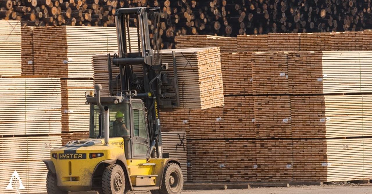 Should I Invest in Publicly Traded Lumber Companies?