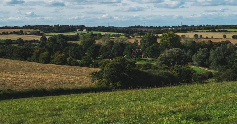 10 Realistic Things to Do With Vacant Land to Make Money