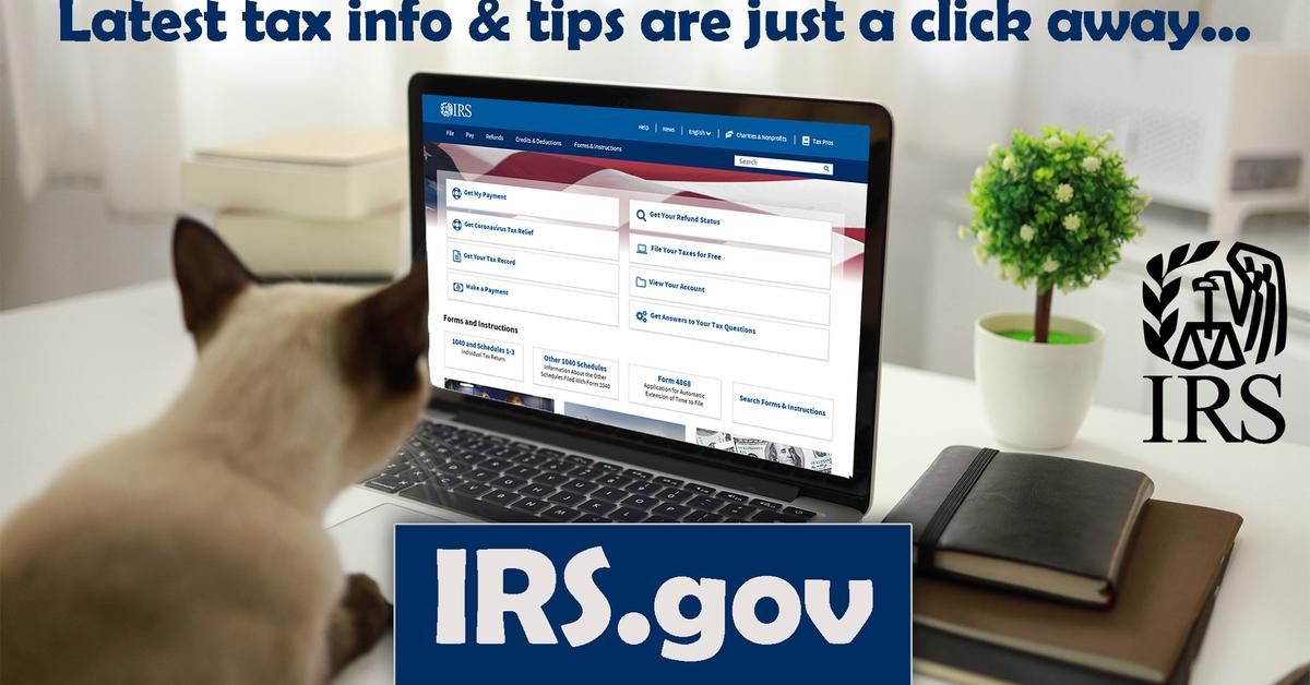 What Are the TCE Program Requirements?