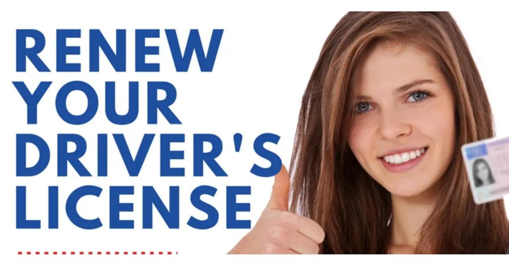 I Gave My ID to a Scammer — What Should I Do Next?