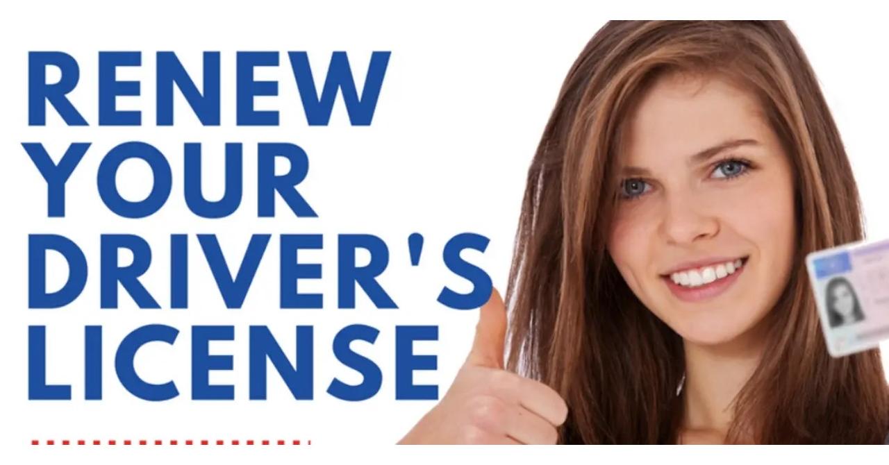 I Gave My ID to a Scammer — What Should I Do Next?