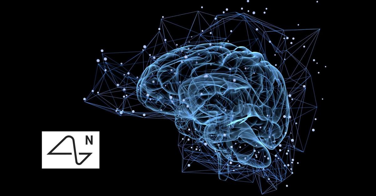 Elon Musk Considering Deal With Neuralink Competitor Synchron