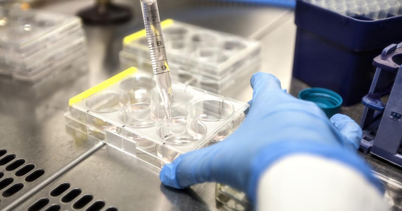 CRISPR Inventors Receive Nobel Prize in 2020