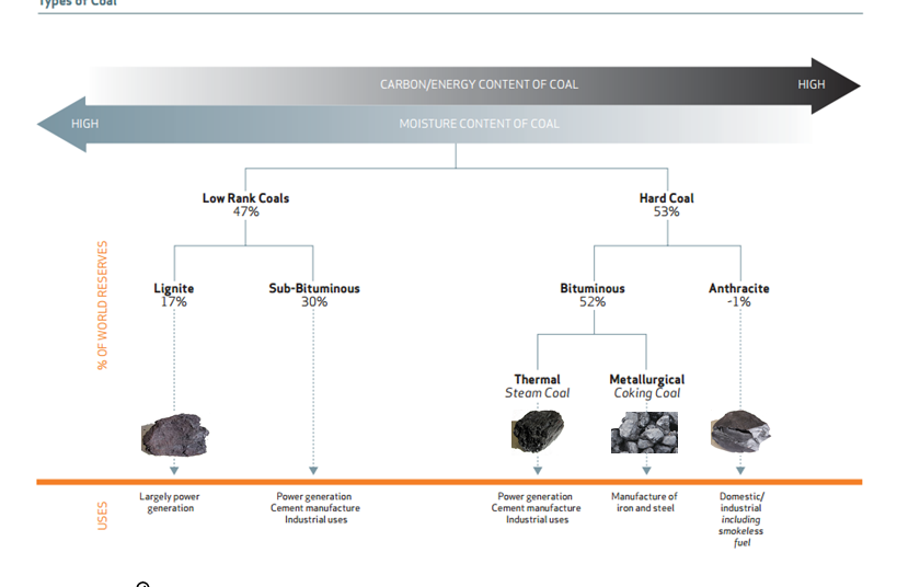 The “buried sunshine”—the coalification process and coal types