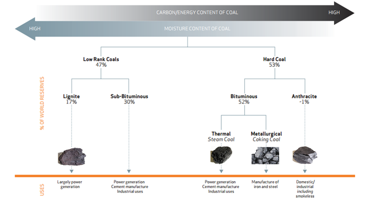 The “buried sunshine”—the coalification process and coal types