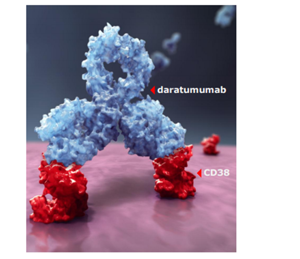 Darzalex: FDA Approved Human Anti-CD38 Monoclonal Antibody for MM