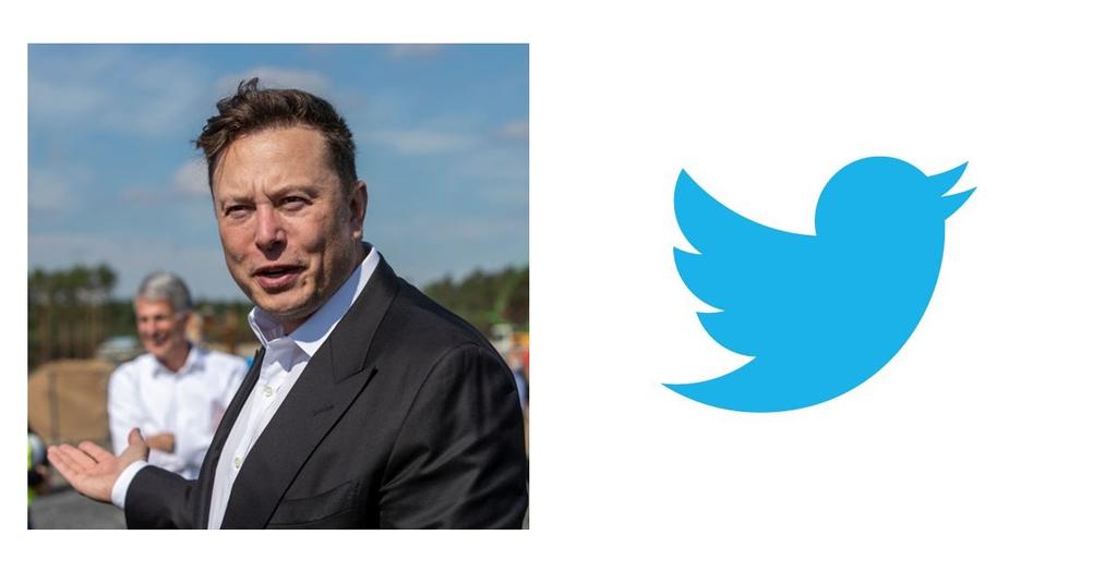 How Elon Musk's Tweets Affect Investors and the Stock Market