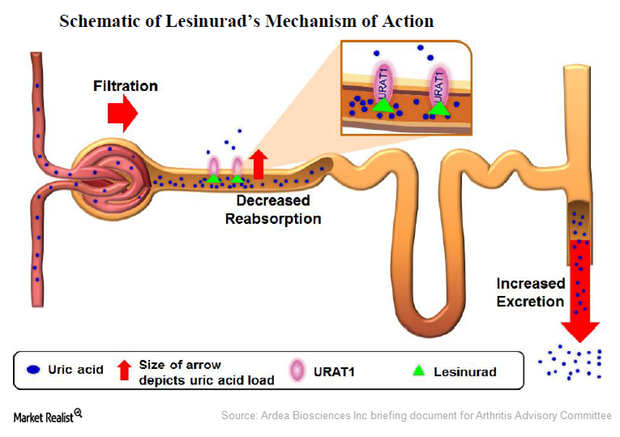 Lesinurad: A Selective Uric Acid Reabsorption Inhibitor for Gout