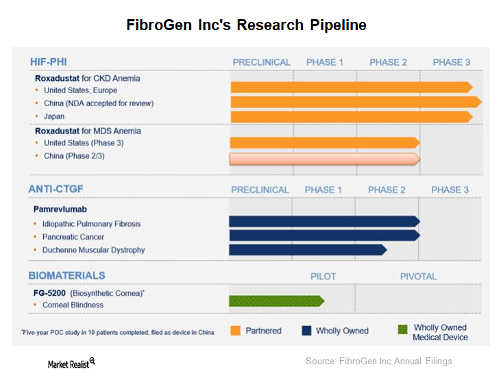 Understanding FibroGen’s Research Pipeline
