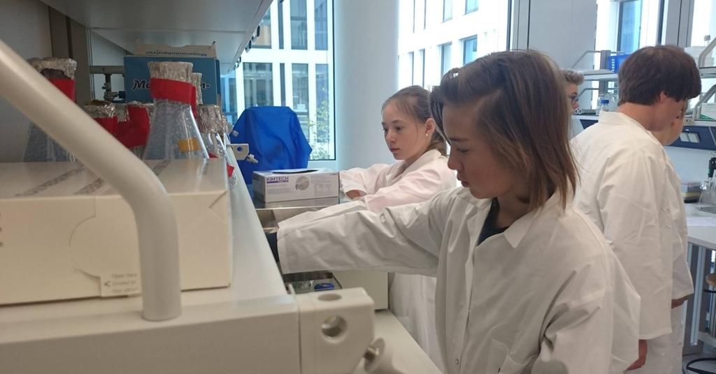 MorphoSys's Stock Forecast: Is MOR a Good Buy Near Its 52-Week Low?