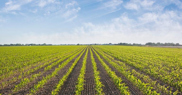 10 Realistic Things to Do With Vacant Land to Make Money