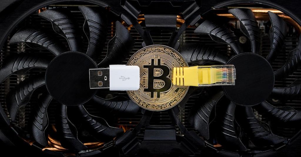 What Is MiamiCoin and Where Can It Be Bought?