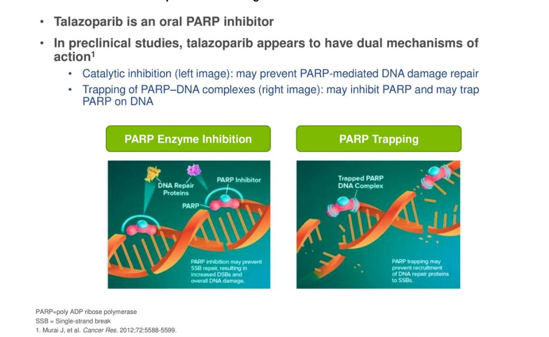 Talazoparib Could Be a Significant Long-Term Growth Driver for Pfizer