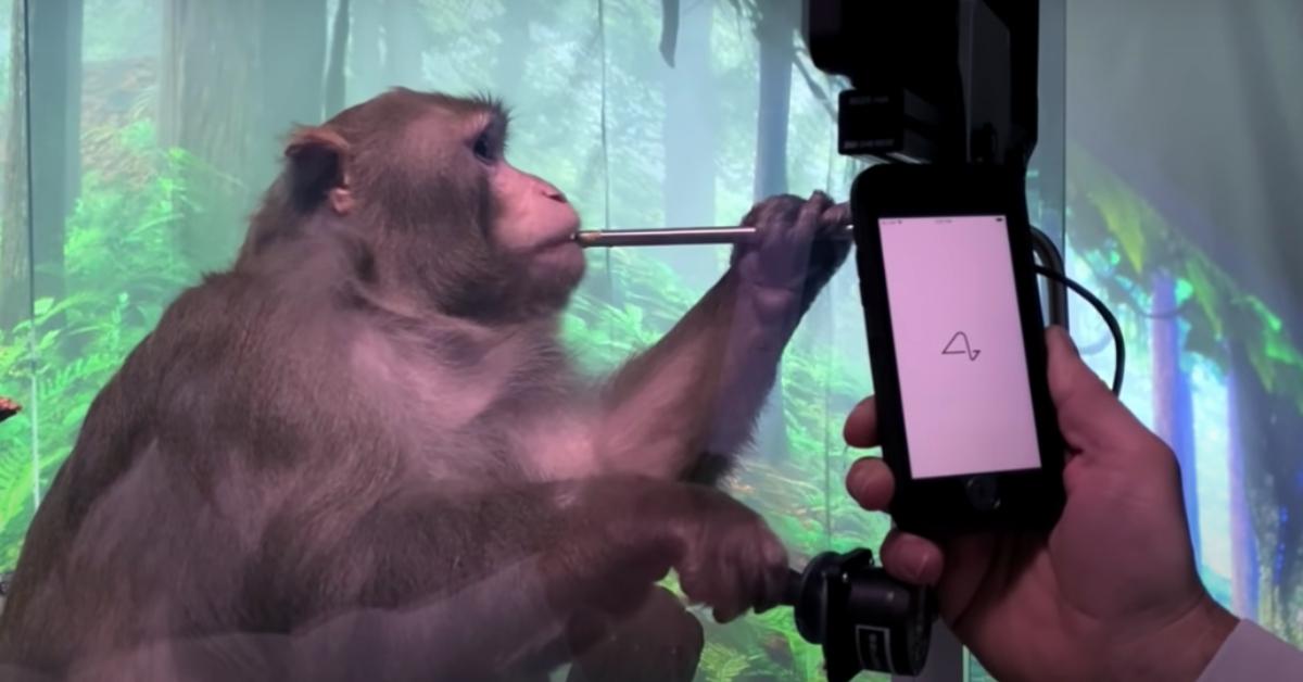 Is Elon Musk Creating a Full Dive VR System With Neuralink?