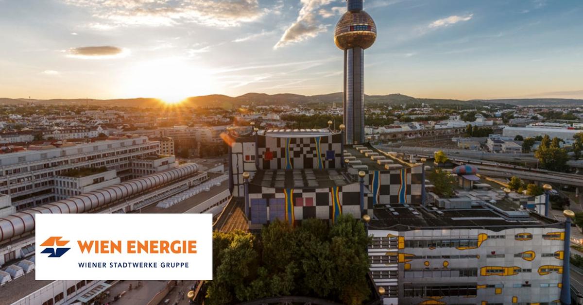 Vienna Power Company Requests Loans, Explained