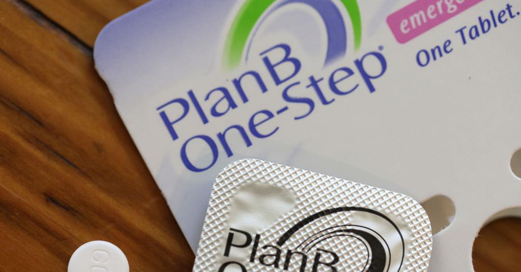 Does Plan B Have Stock, and How Do You Buy It?