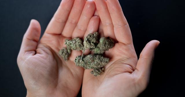Tilray Stock Forecast: Is TLRY a Good Marijuana Stock to Buy? Tilray Stock Forecast: Is TLRY a Good Marijuana Stock to Buy?