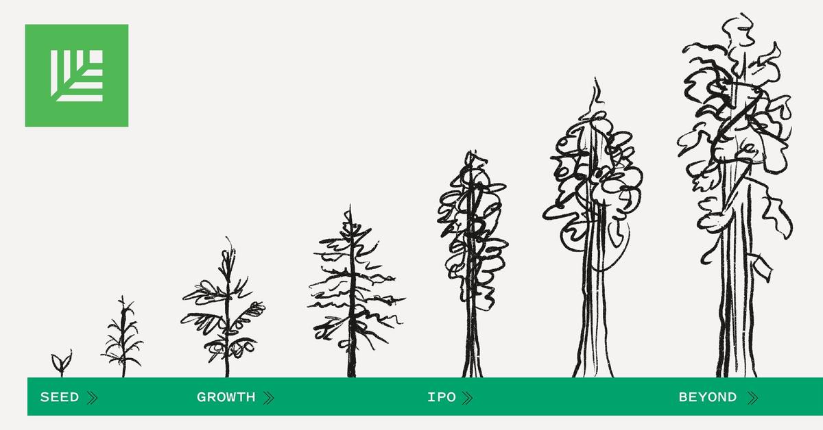 What's the Sequoia Fund?
