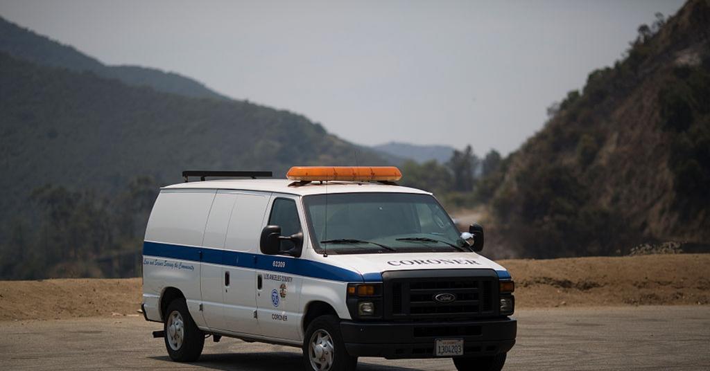 How Much Does a Coroner Make? Salary and Job, Explained