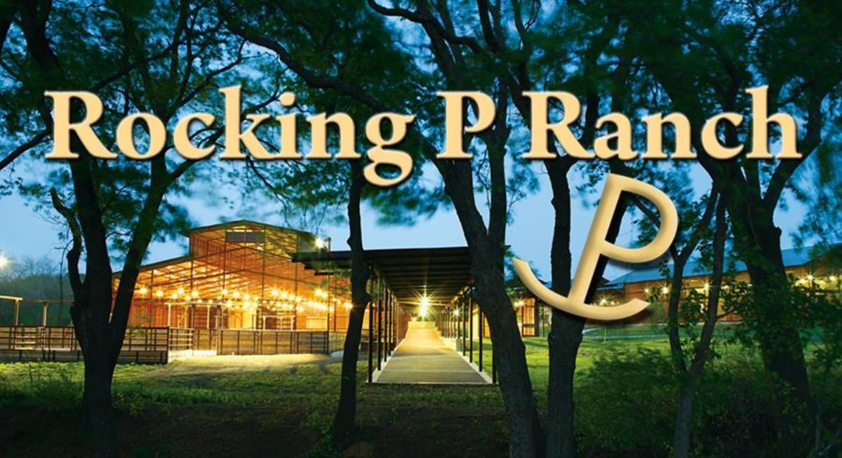 Who Owns Metallic Cat? The Horse Featured in 'Yellowstone'