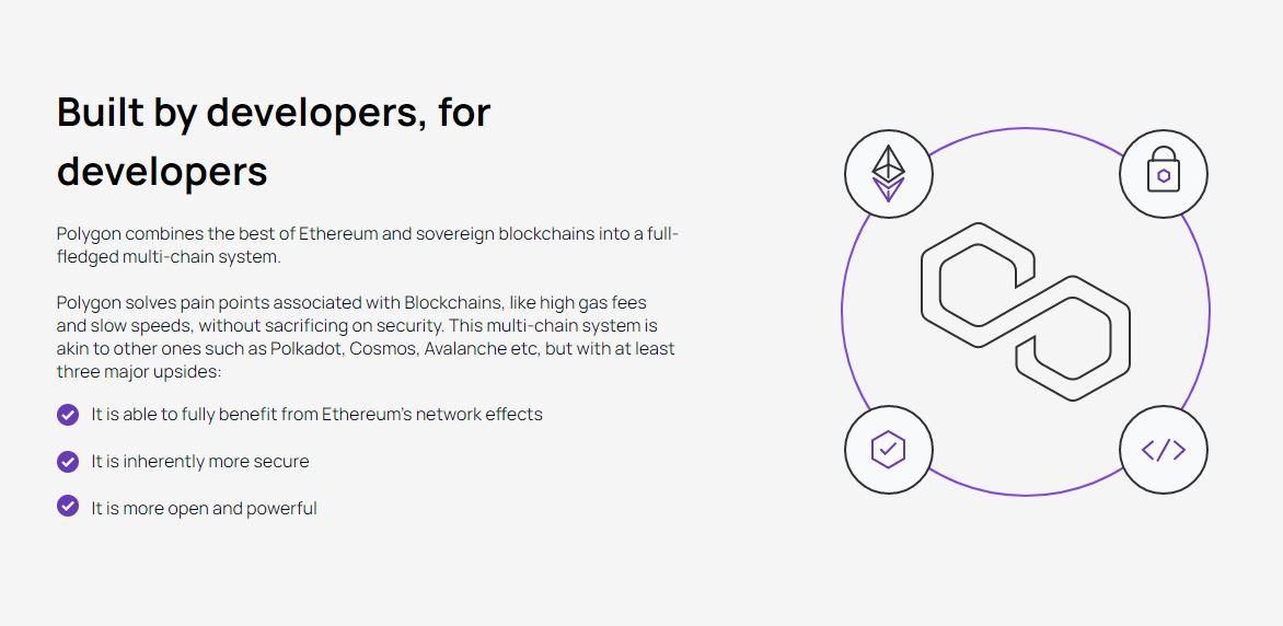 Who Runs the Polygon Network?