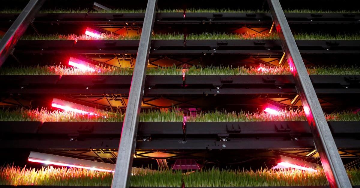 Best Vertical Farming Stocks in 2022 for the Agricultural Shift