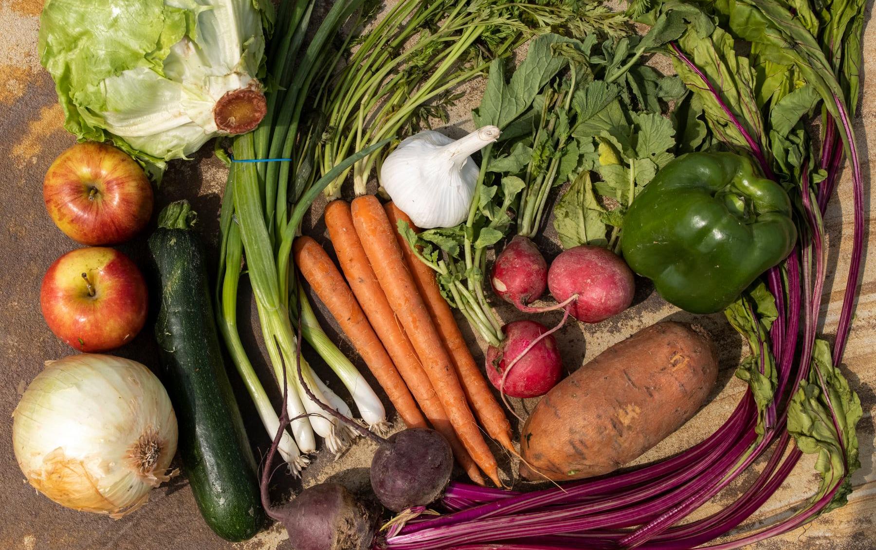 Best Vertical Farming Stocks in 2022 for the Agricultural Shift